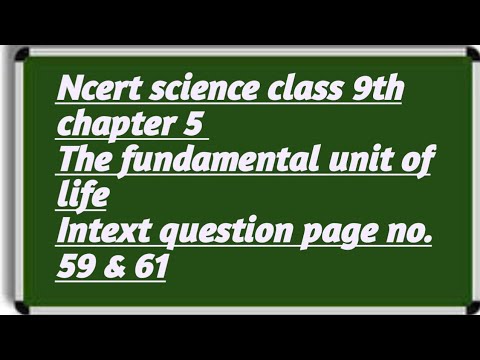 Ncert science class 9th Intext question page no. 59 & 61 chapter 5 The ...