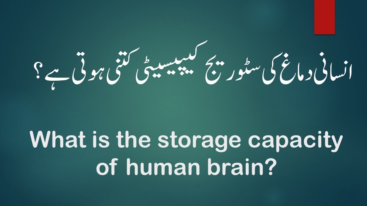 What is the storage capacity of human brain? | MALUMATI DUNYA - YouTube