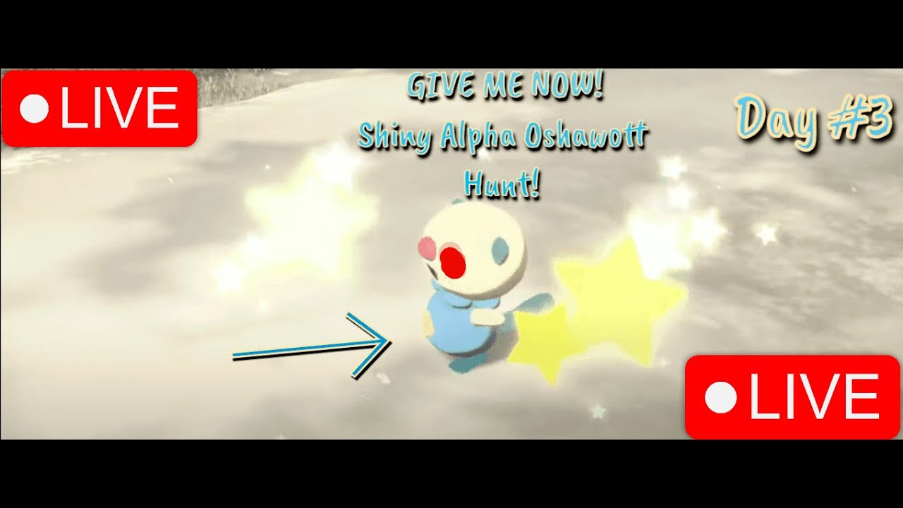 Shiny Alpha Oshawott Hunt! Day #3 - Pokemon Legends Arceus - YouTube