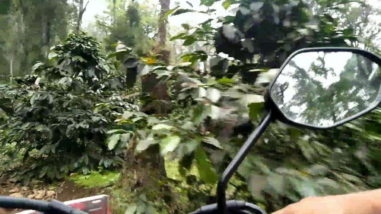 Tour Situ Cirompang Gunung Jampang Part 2 - YouTube