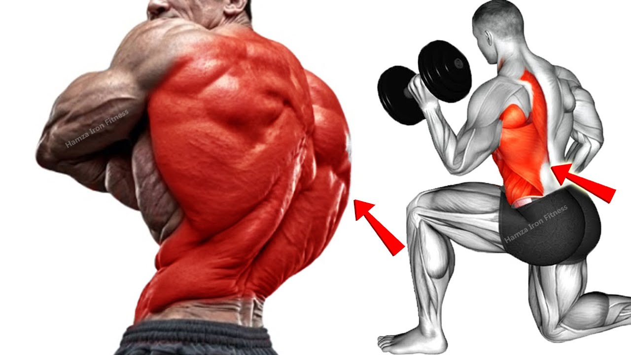 5 Effective Exercises For V Taper Back - YouTube