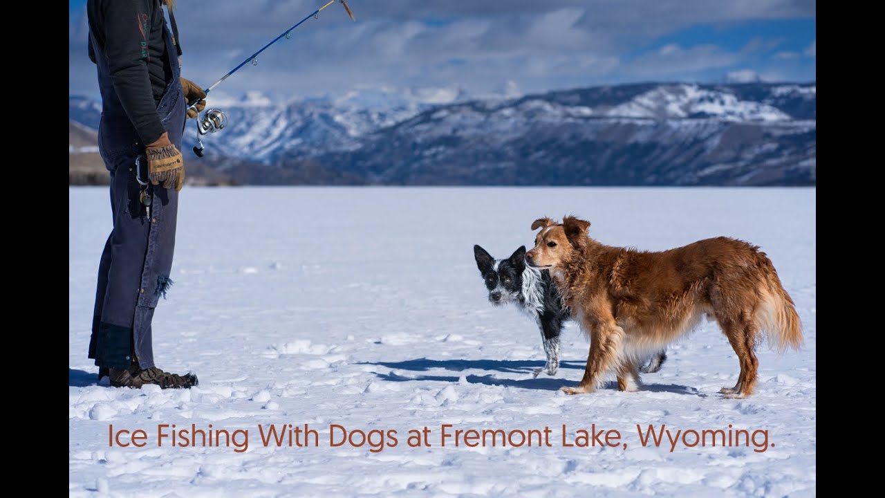 Ice Fishing With Dogs at Fremont Lake, Wyoming - YouTube