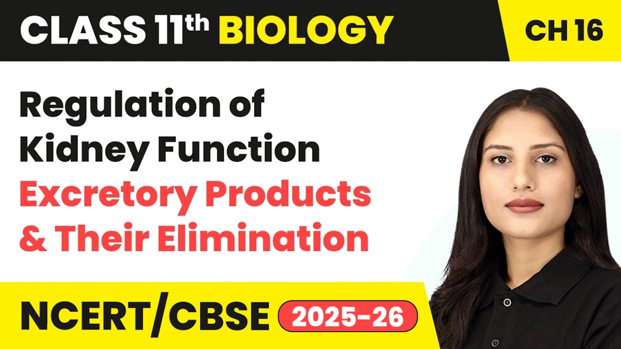 Regulation of Kidney Function - Excretory Products & Their Elimination ...