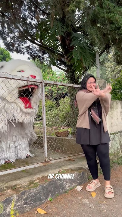 Mamah Cantik Masukin Can Macanan Ke Kandangnya - YouTube