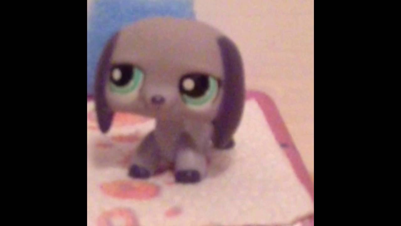 Lps Addicted To Starbucks!!! - YouTube