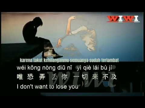 Xia Bei Zi Bu Yi Ding Hai Neng Yu Jian Ni -下辈子不一定还能遇见你 Lyric [With Pinyin | Vietsub | English ...