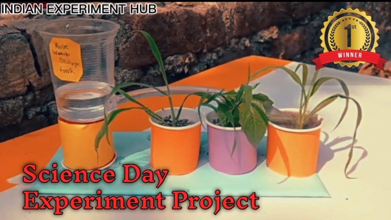 Science Fair Projects New Ideas 2025 | Science Project For Class 6 ...