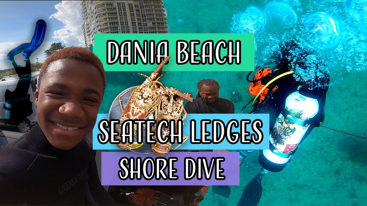 Dania Beach shore dive - YouTube