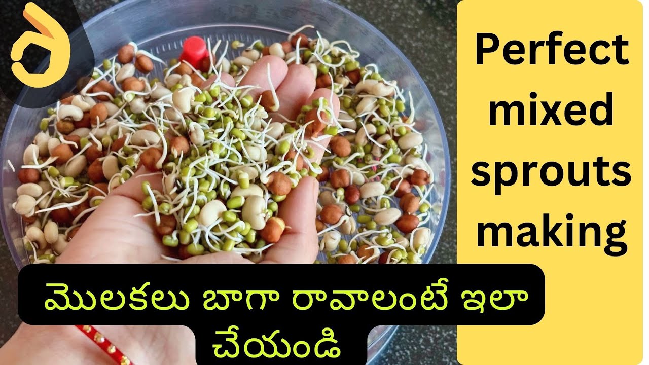 How to make Perfect mixed sprouts in sprouts maker 👌👌 - YouTube