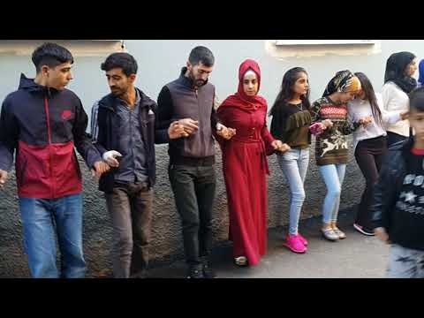 ROJAN MÜZİK Elazığ zazaların düğünün den