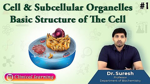 Medical Biochemistry Video Lectures - YouTube