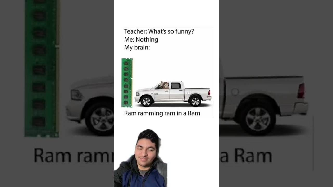 A Ram In A Ram Ramming A Ram 🐏 #shorts - YouTube