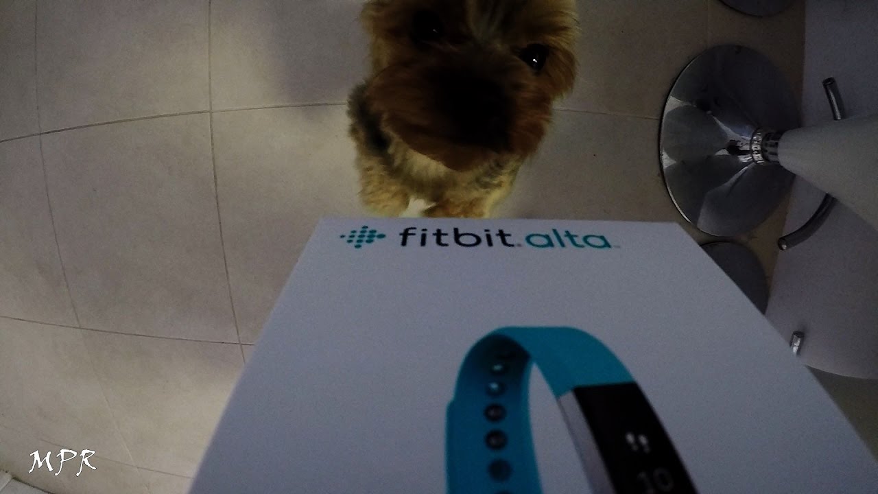 FitBit Alta Unboxing and setup + Fail + Puppy - YouTube