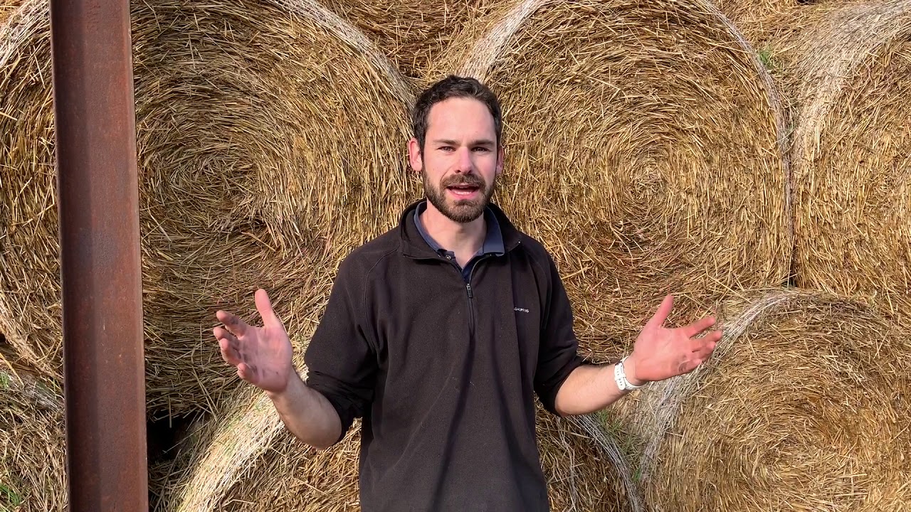 VI Champion Richard Heady talks IPM - YouTube