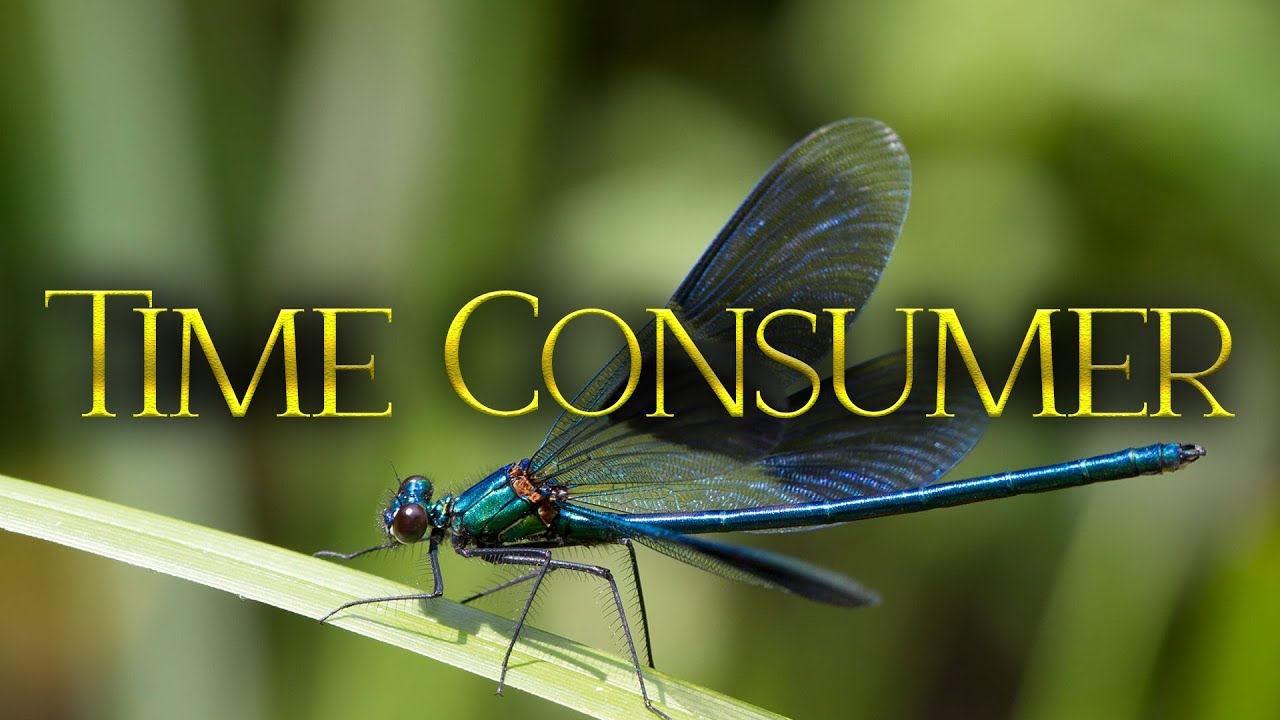 Time Consumer - Coheed & Cambria Cover - YouTube