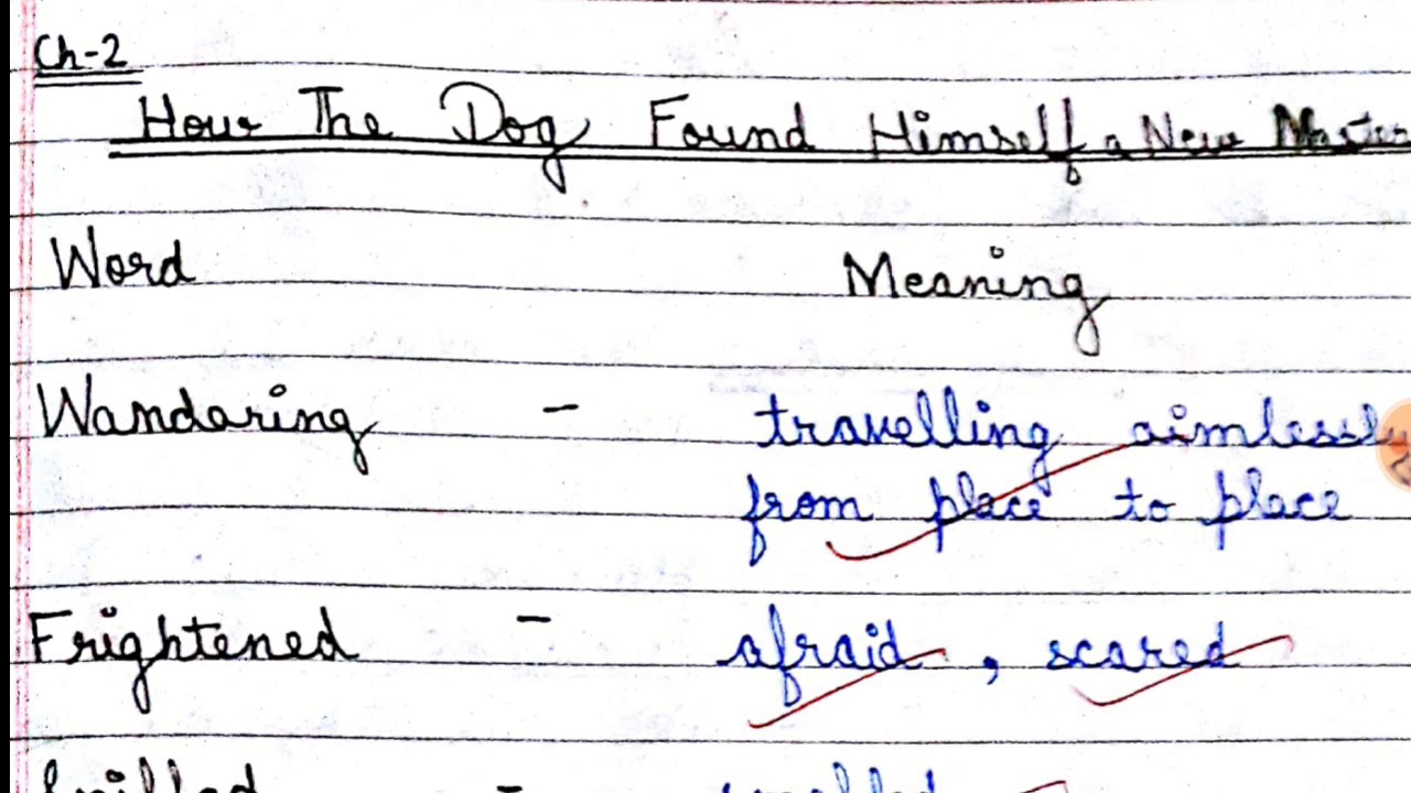 How The Dog Found Himself A Master Chapter 2 QUESTION ANSWERS Full how-the-dog-found-himself-a-master-chapter-2-question-answers-full
