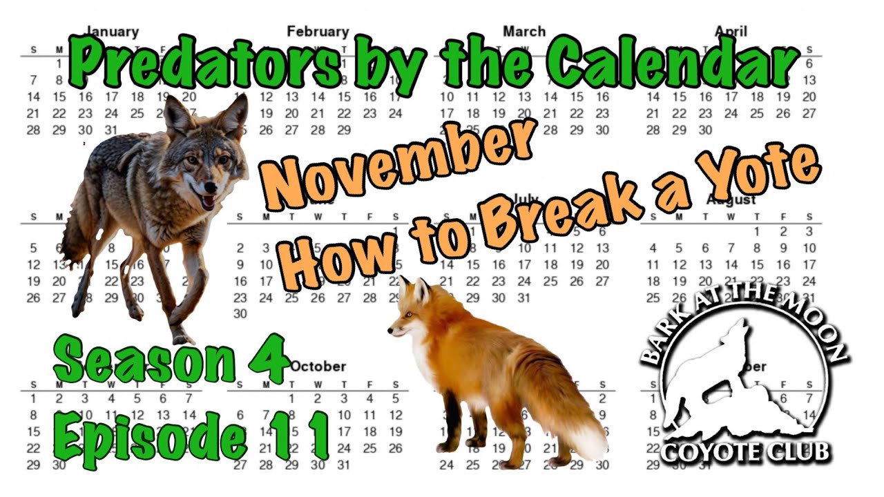 Predators by the Calendar EP 11 - YouTube