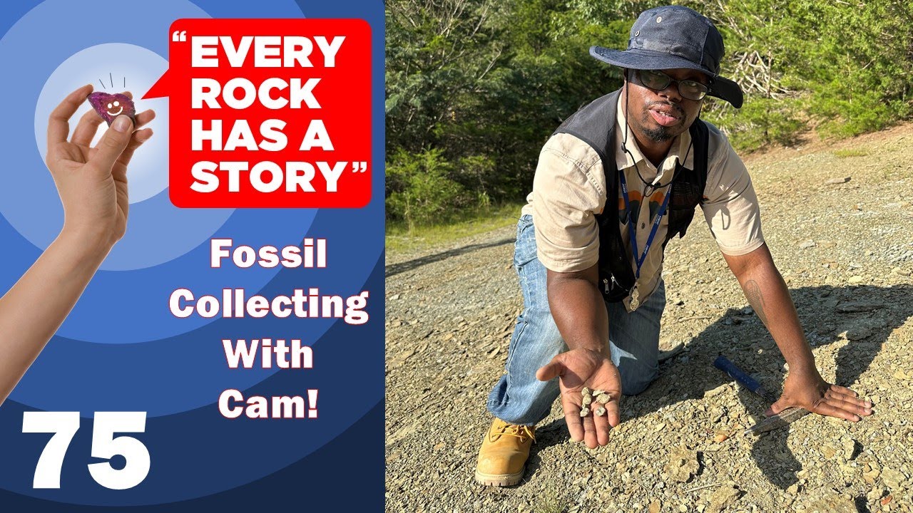 Experience the joy of fossil collecting with your kids! ERHAS Ep. 75 w ...