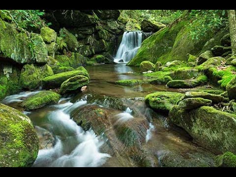 spring river water falls - YouTube