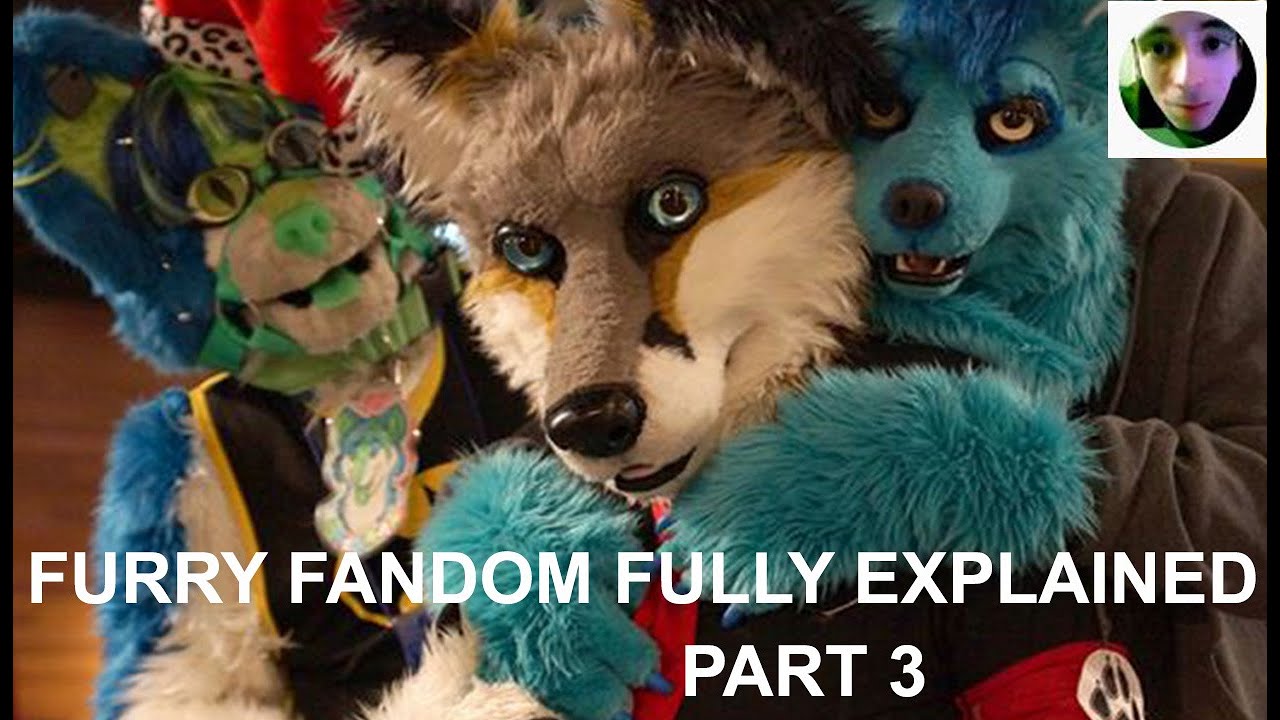 Furry Fandom Fully Explained Part 3 - YouTube