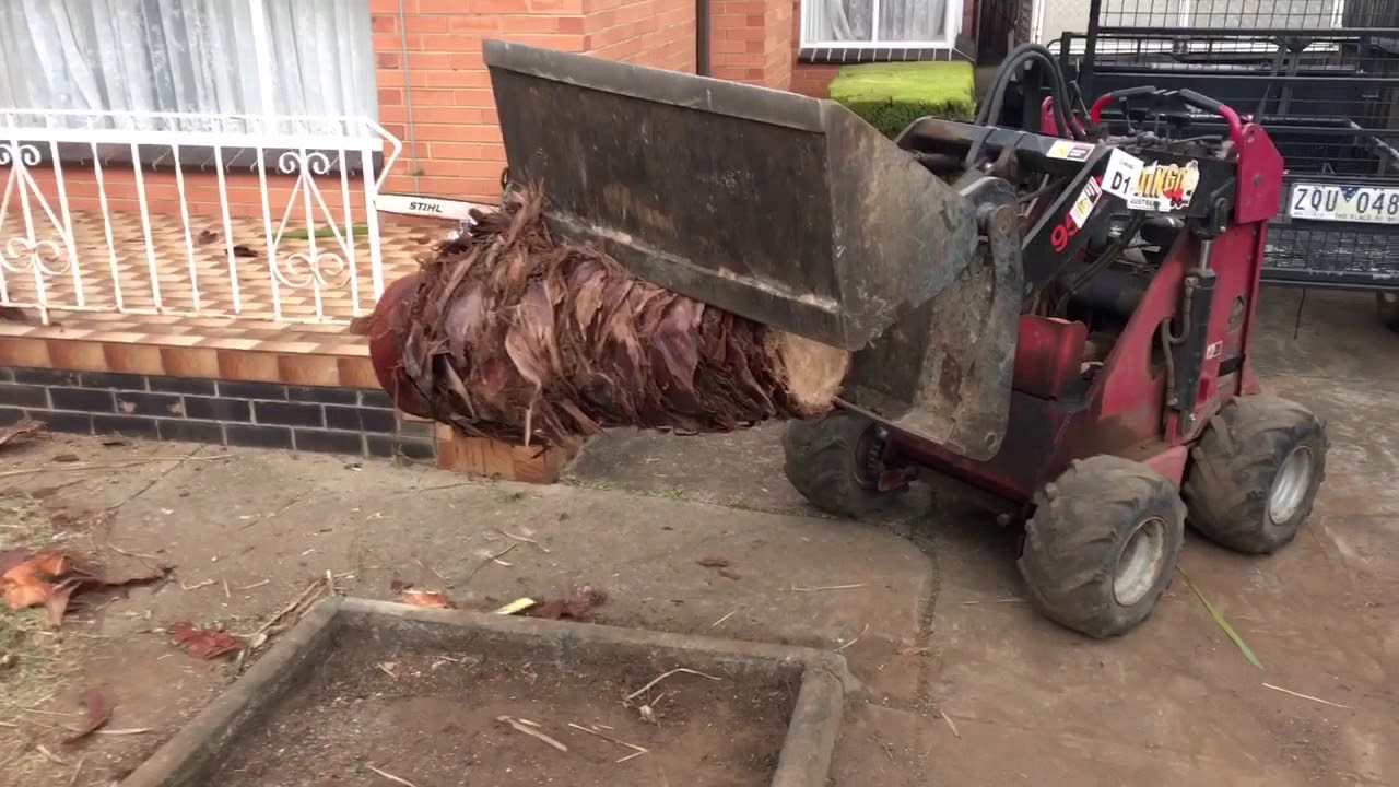 FROGGI GROUP'S PRO CLIMBER MARK BRYDEN - YouTube