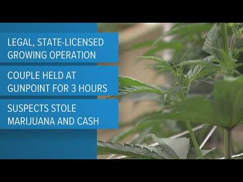 Latest headlines from NEWS CENTER Maine Morning Report at 6:30 a.m.