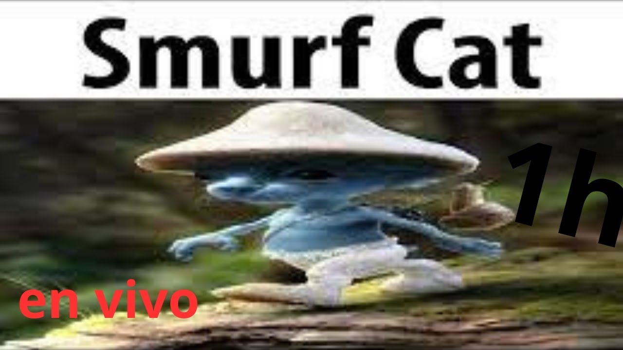 Smurf cat gato pitufo - YouTube