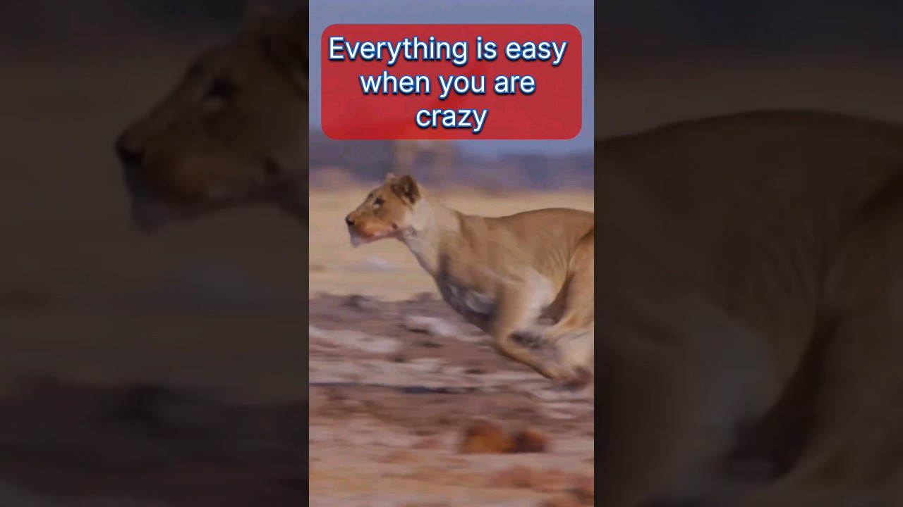 Nothing is easy when you are lazy | Everything is easy when you are ...