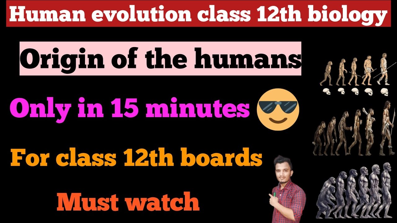 Human evolution class 12th biology! Origin of human! for class 12th ...
