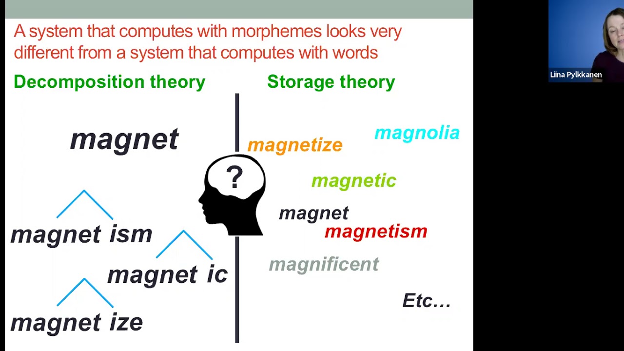 Morphemes Word Structure 1: A Cross Classification Of Types Of