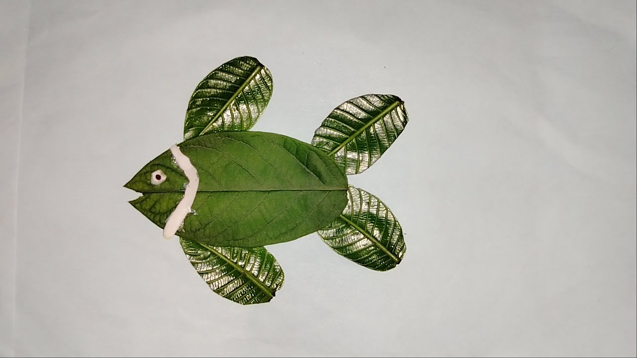 leaf fish | Make fish with leafs | leaf craft for kids |Leaf Art | leaf ...
