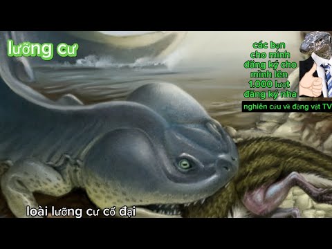 loài lưỡng cư cổ đại có hình dạng giống với cá oa oa - YouTube