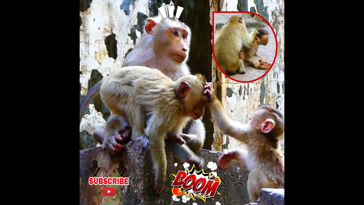 Poor scream bad time for Leo got bad abusing from Libby all the time ...