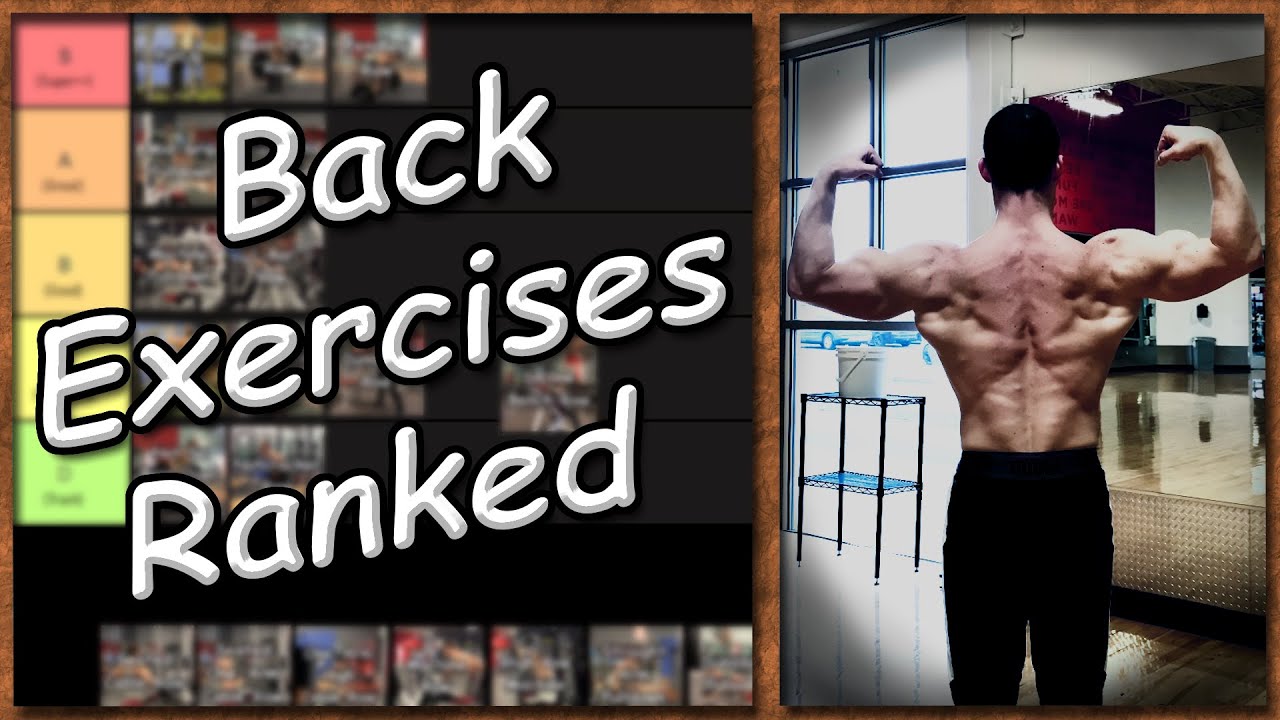 BEST Back Exercises for Size and Strength Tier List (25 Ranked!) - YouTube