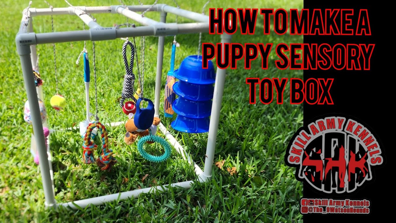 How To Make A Puppy Sensory Toy Box YouTube how-to-make-a-puppy-sensory-toy-box-youtube