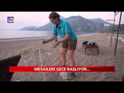 KEMER’DE CARETTA CARETTALARA RESMİ KORUMA