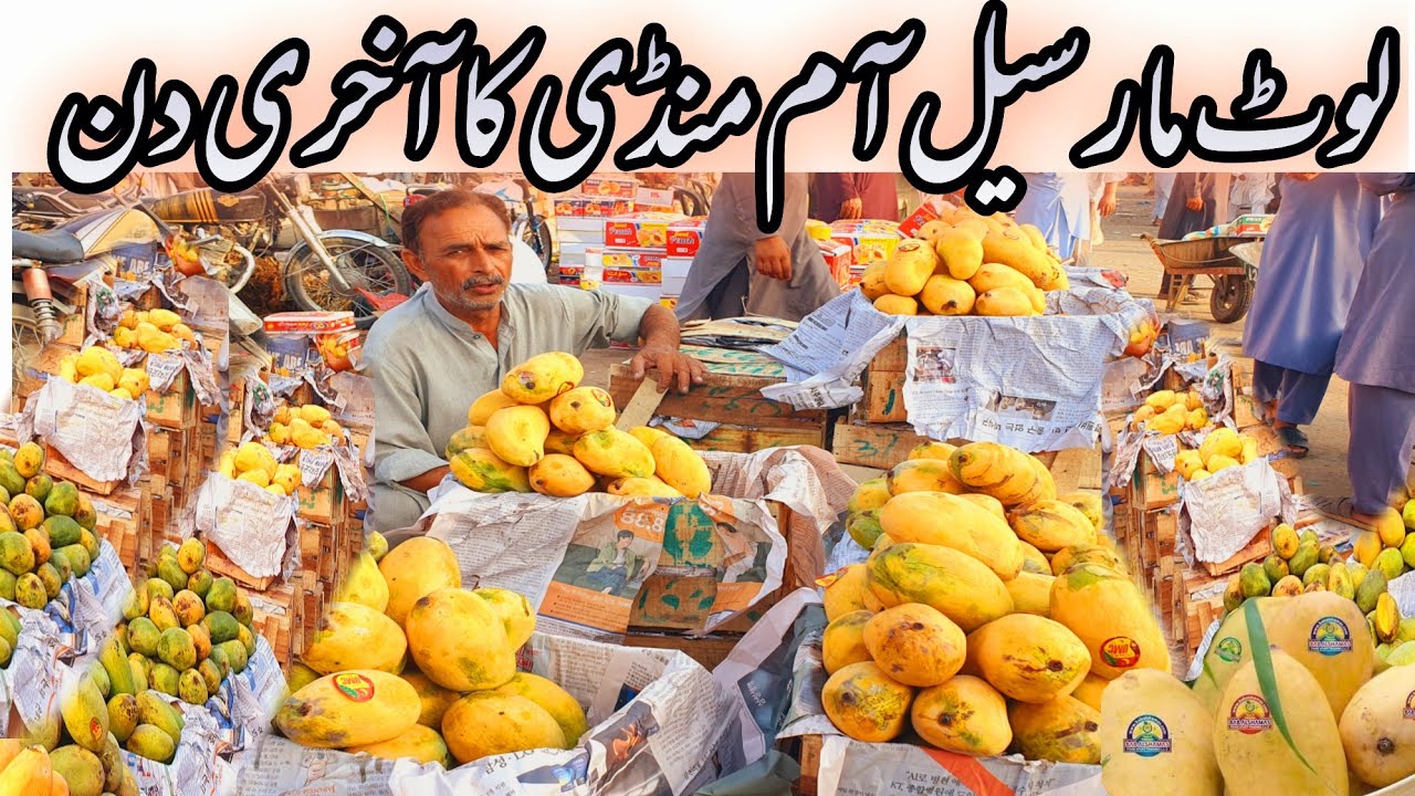 Last Day and Mango Prices | Shocking Prices of Premium Export Quality ...