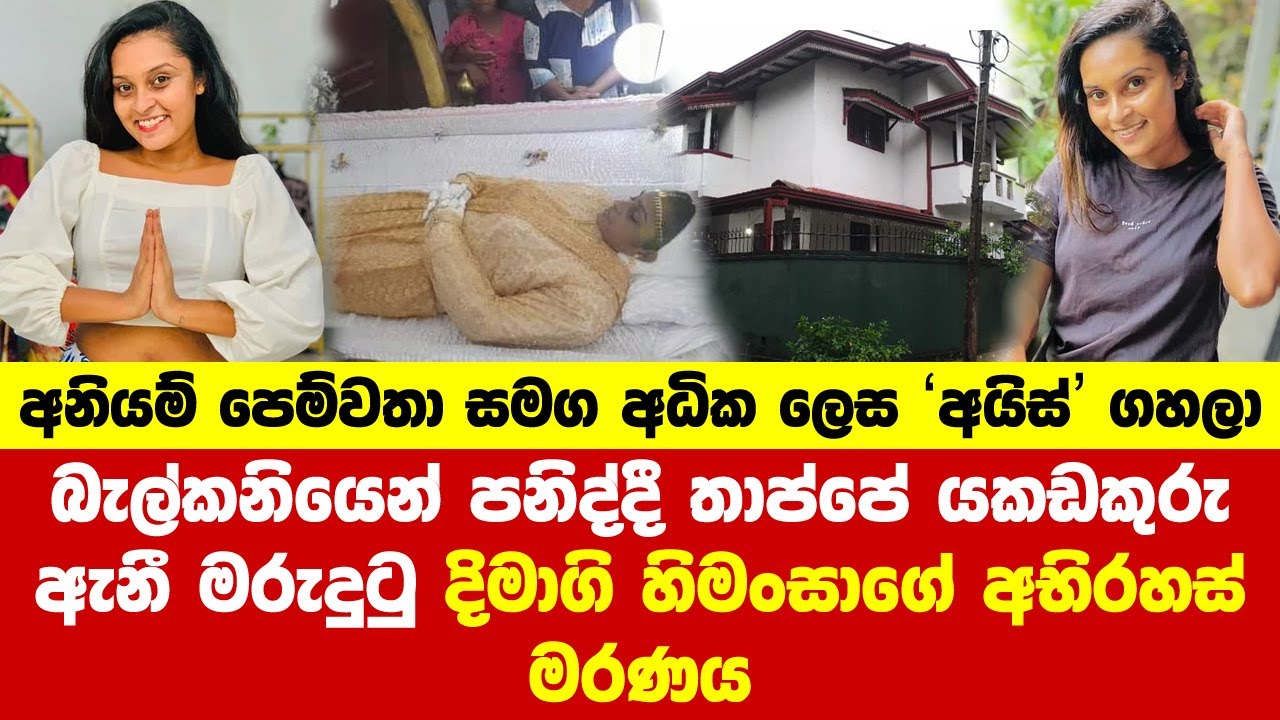 බැල්කනියෙන් පනිද්දී තාප්පේ යකඩකුරු ඇනී මරුදු‍ටු දිමාගි හිමංසා | dimagi himansa | news - YouTube