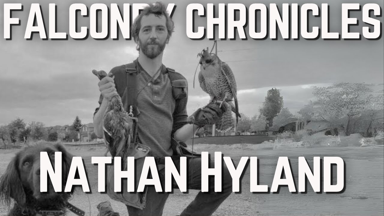 Falconry Chronicles: Nathan Hyland | HXP #489 - YouTube
