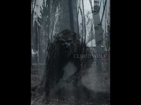 Lenhadores Perseguem uma criatura na Floresta - DOGMAN ORIGEN