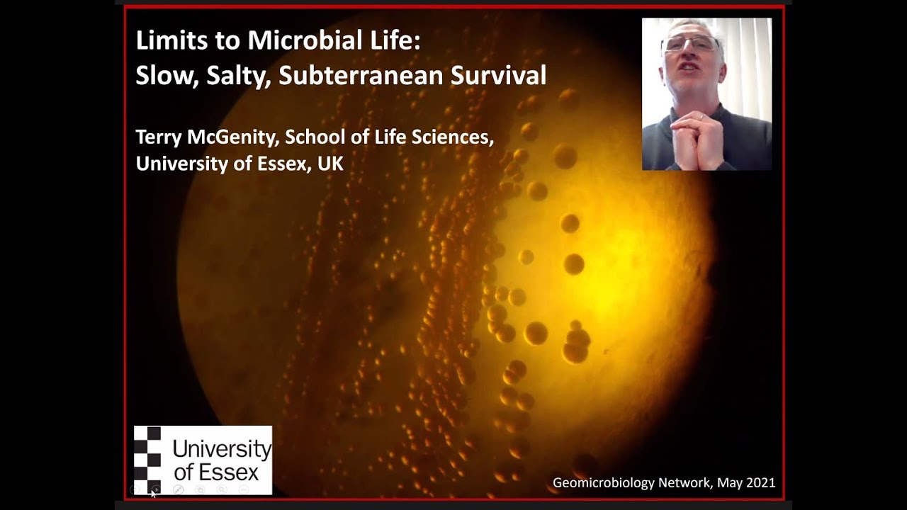 Limits to Microbial Life: Slow, Salty, Subterranean Survival T ...
