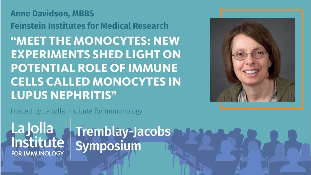Potential role of monocytes in lupus nephritis - Anne Davidson, MBBS ...