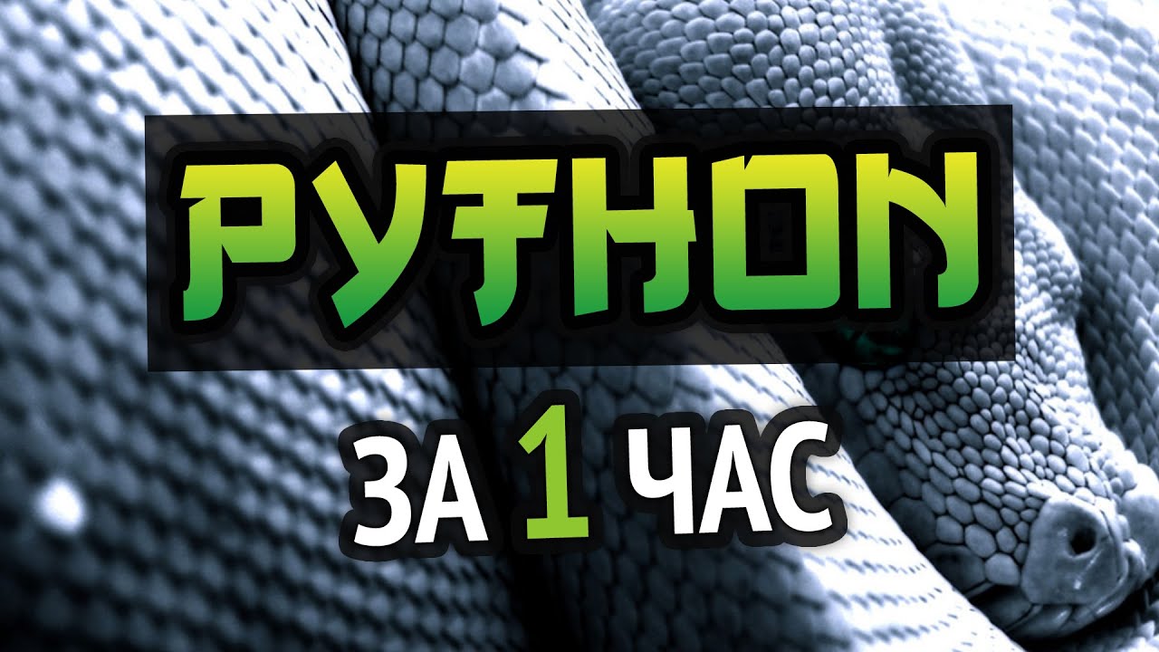 Углубленное изучение Python стало проще: полное руководство для начинающих
