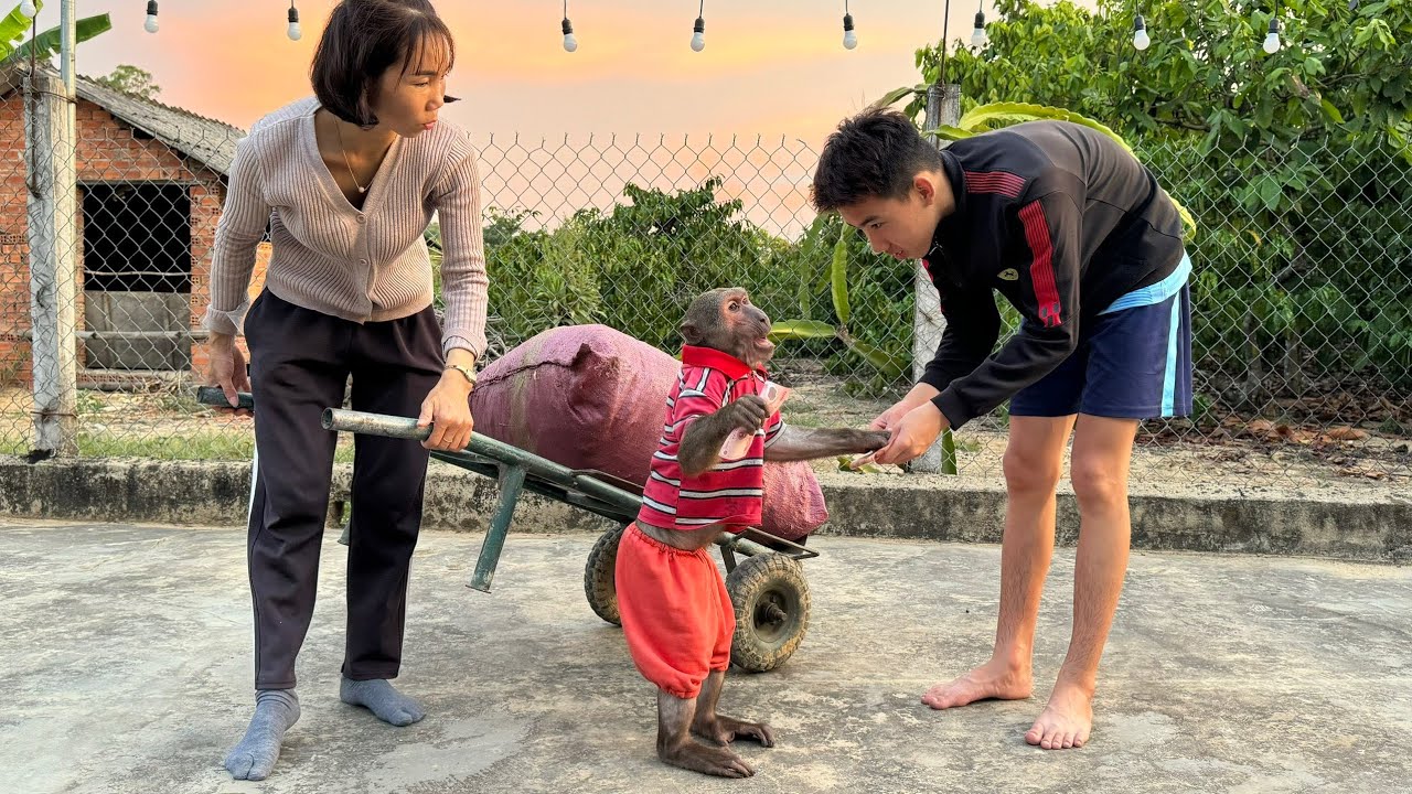 Healthy ABU Can Help Mom - YouTube