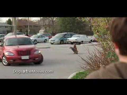 Firehouse Dog - "Dogs At The Movies" - Episode #17 - YouTube