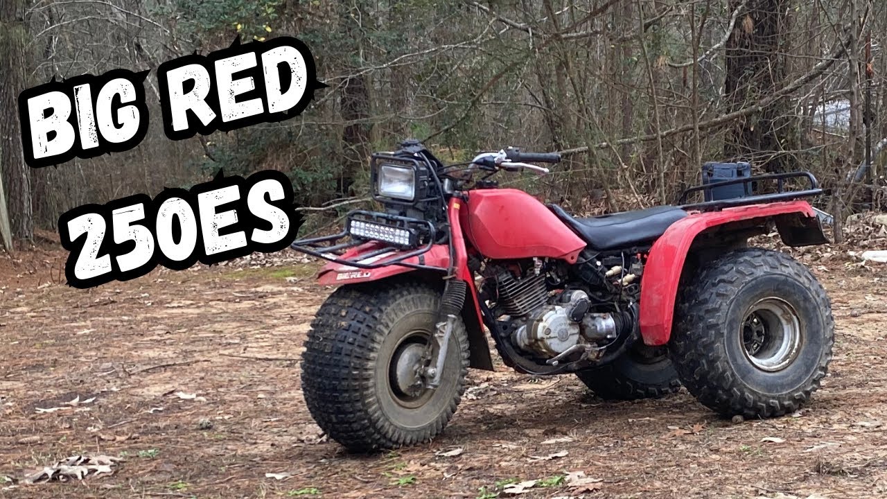 I BOUGHT MY FIRST THREE WHEELERl Honda Big Red 250es - YouTube