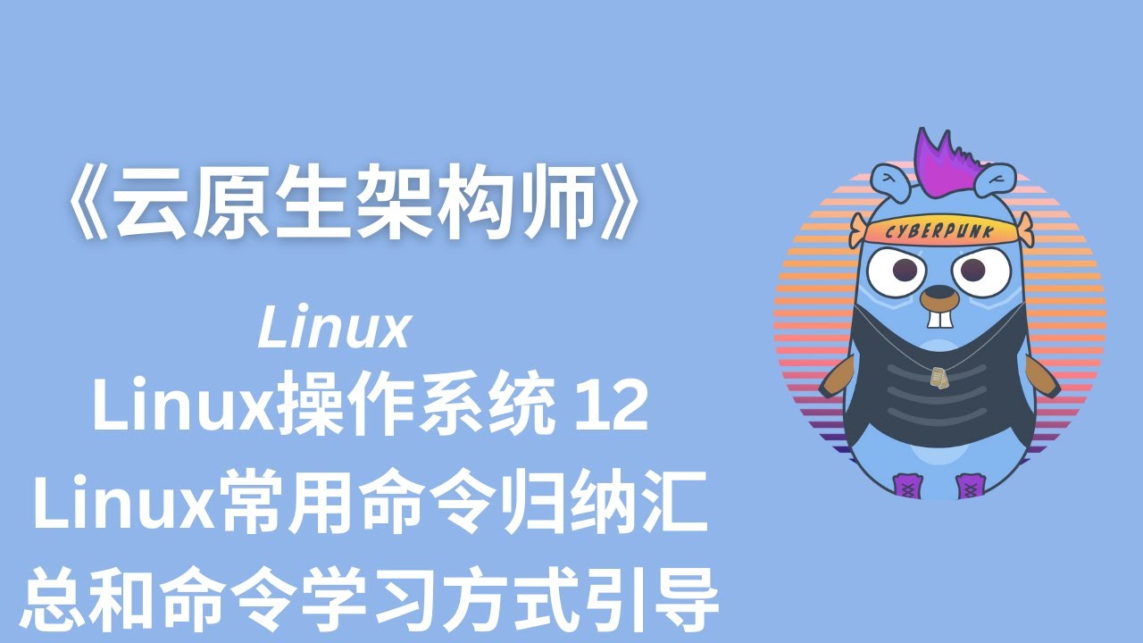 【linux】 Linux操作系统 12 Linux常用命令归纳汇总和命令学习方式引导《p7云原生架构师一期》 Youtube