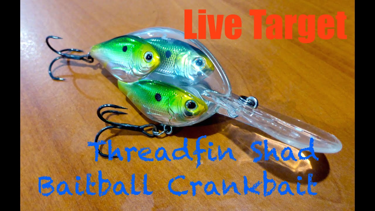 Live Target Threadfin Bait Ball Review + Underwater Footage - YouTube