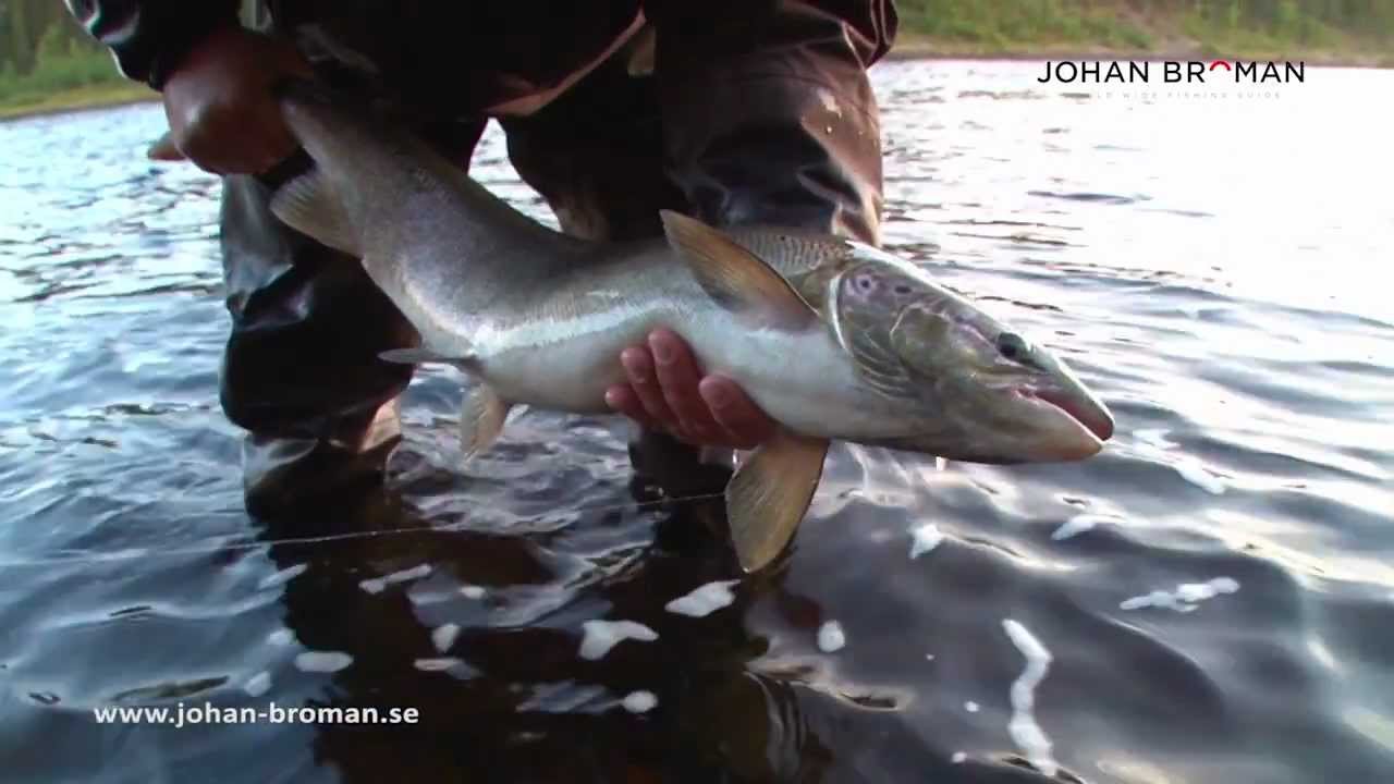 Johan Broman World Wide Fishing guide - YouTube