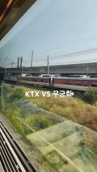 KTX VS 무궁화호 #shorts #shortvideo #short #ktx #무궁화호 #대결 #코레일 - YouTube